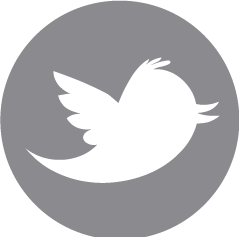 twitter-gris - Renunciamos y Viajamos
