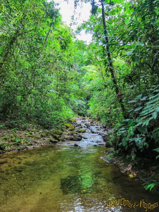 Qué ver y qué hacer en Caquetá, el paraíso verde de Colombia ...