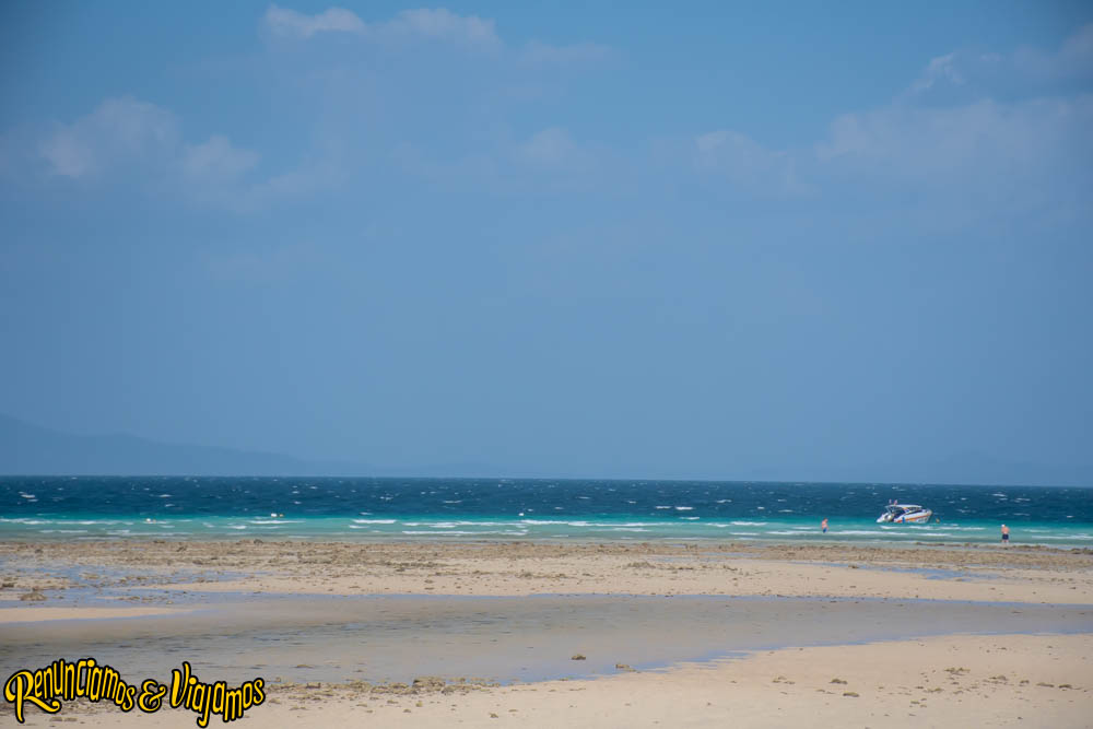 que hacer y que ver en koh phi phi tailandia renunciamos y viajamos ... que hacer y que ver en koh phi phi tailandia renunciamos y viajamos ...