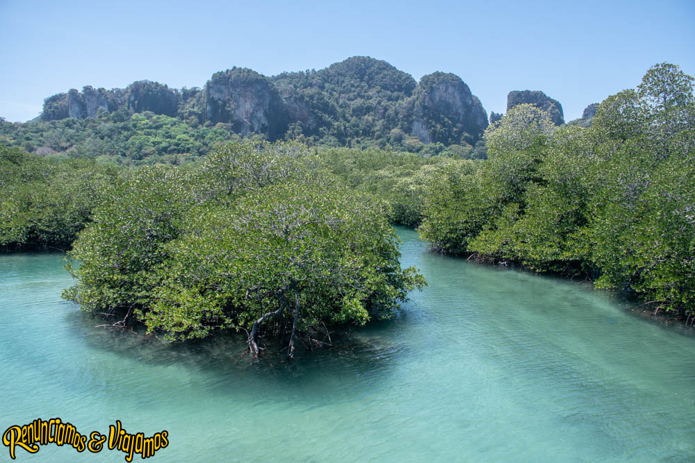 que hacer y que ver en koh phi phi tailandia renunciamos y viajamos ... que hacer y que ver en koh phi phi tailandia renunciamos y viajamos ...